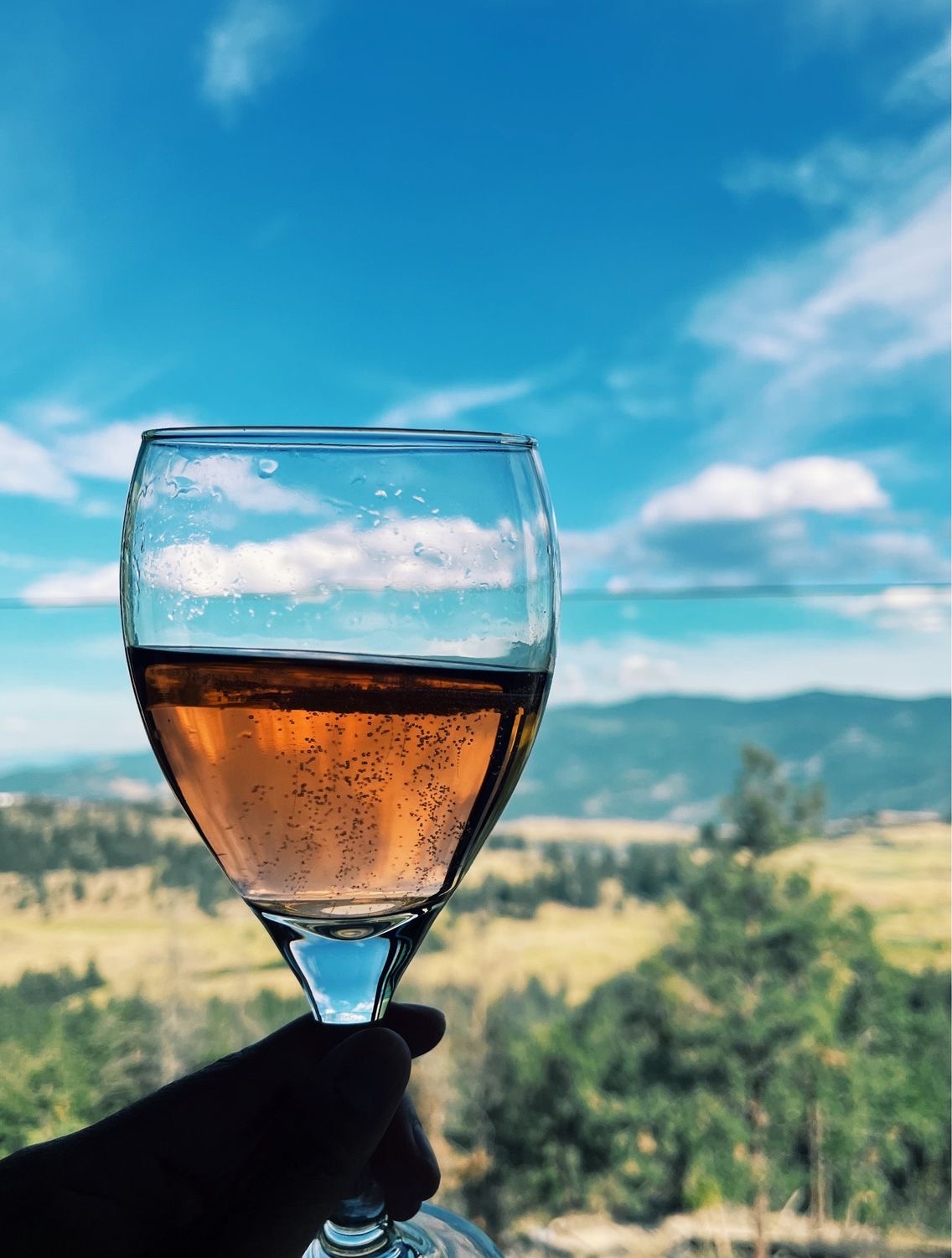 Kaito Noda's Homepage